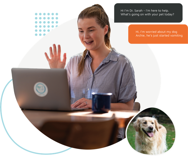 VetChat - chat with a vet online